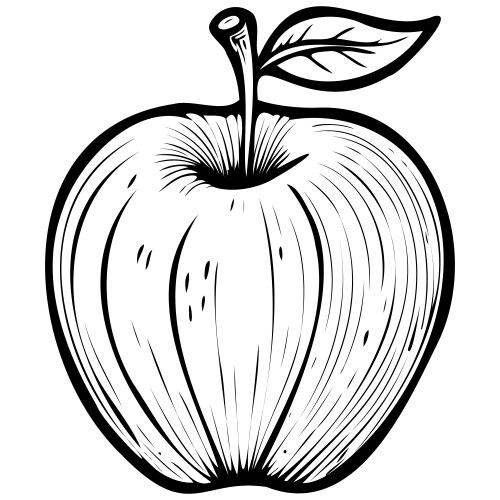 Splendor apple drawing outline cartoon fruit Vector Image