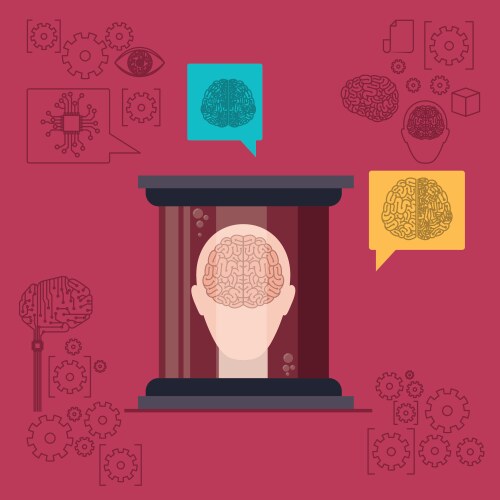 Brain Front View Vector Images (over 370)