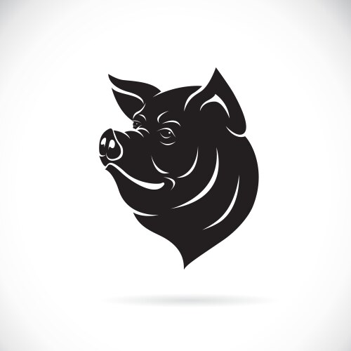 Pig head design on white background animal farm Vector Image