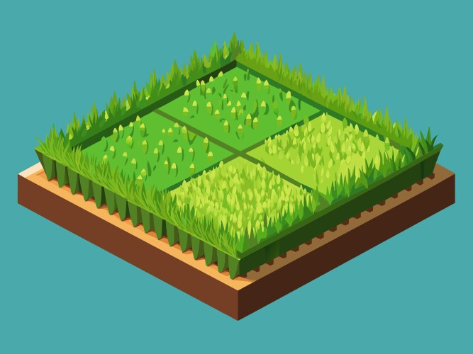 Rectangle of green fresh grass Royalty Free Vector Image