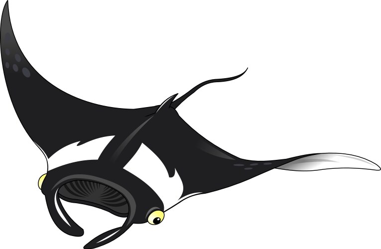 Manta Ray Cartoon Vector Images (over 780)