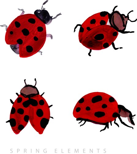 Ladybug Vector Images (over 23,000)