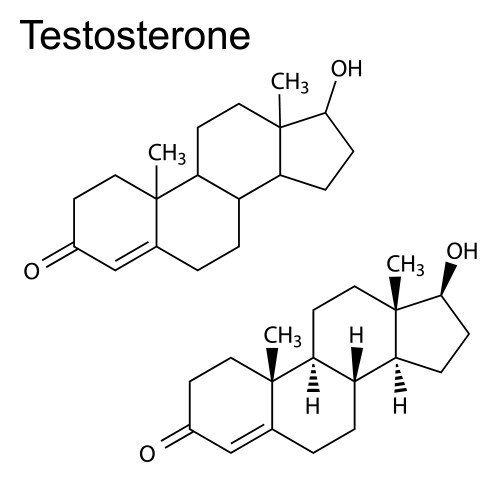 Testosterone Vector Images (over 2,000)