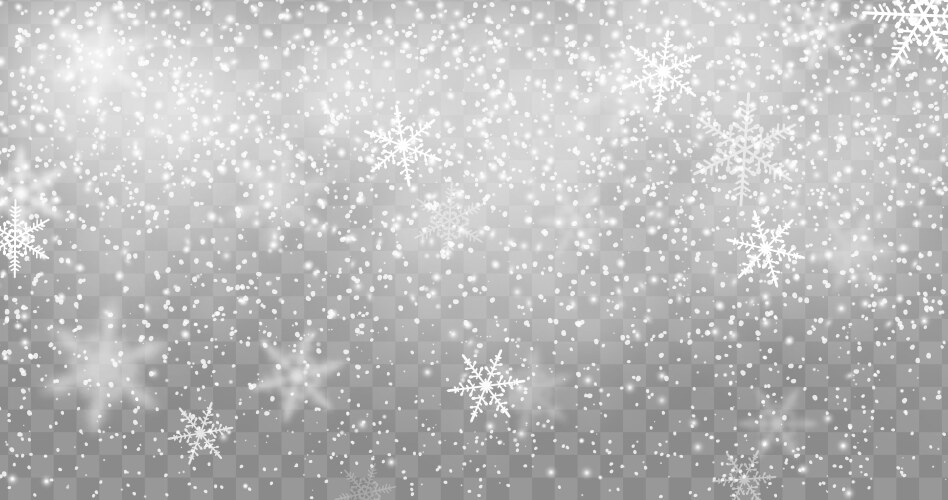 Christmas snowfall effect realistic snowflakes Vector Image
