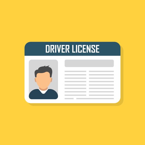 Driver license icon in flat style identification Vector Image