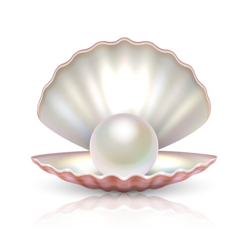 Oyster Pearl Vector Images (over 3,900)