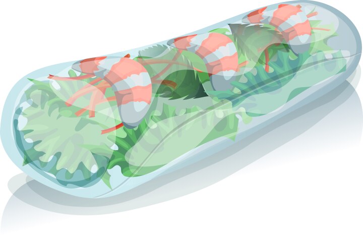 Ngohiong cebu spring roll isolated fried Vector Image