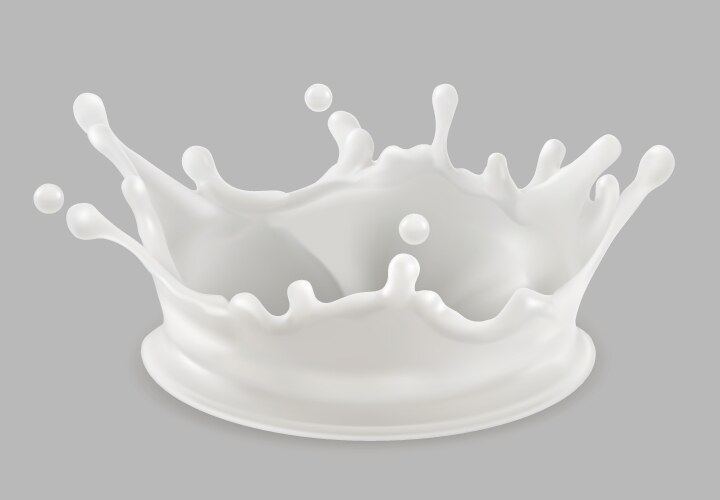 Milk splash crown shape and butterfly silhouettes Vector Image