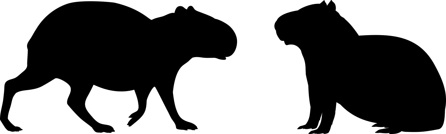 Set cute cartoon outline capybara smiles Vector Image