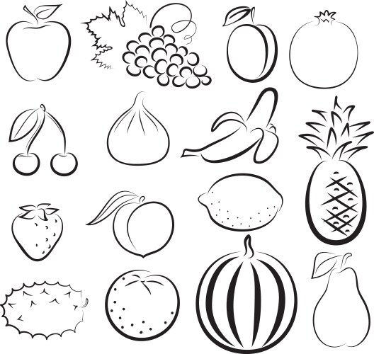 Fruits Outline Vector Images (over 110,000)