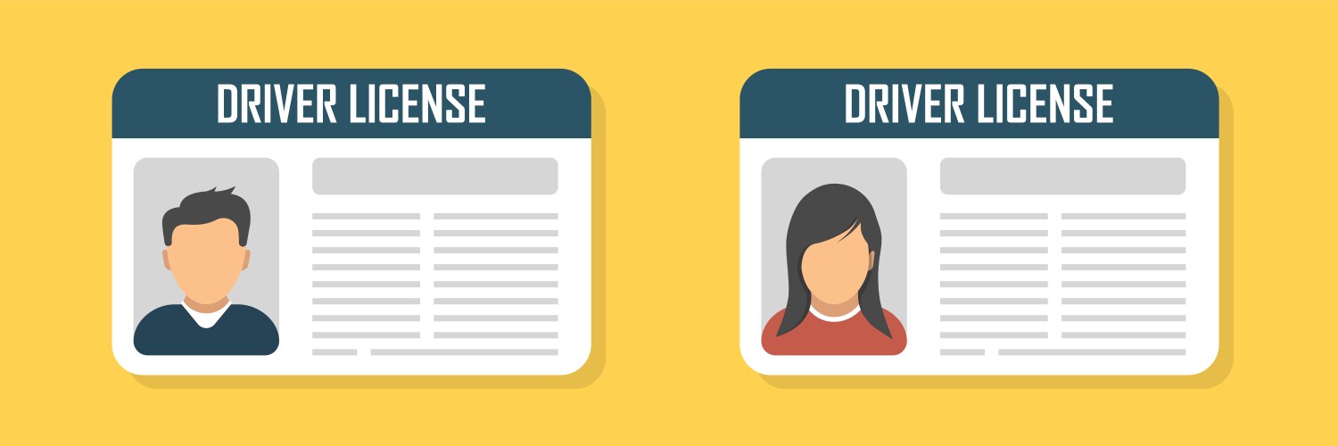 Driver license icon in flat style identification Vector Image