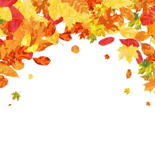 Autumn tree background Royalty Free Vector Image