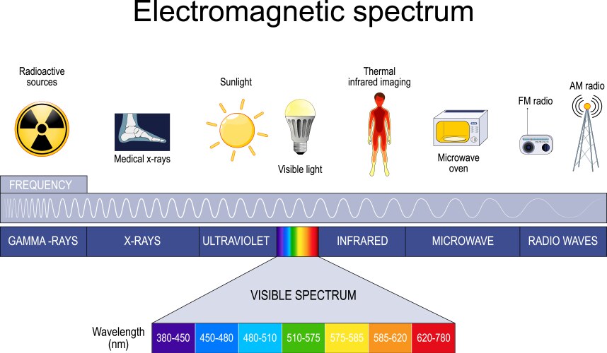Electromagnetic Radiation Spectrum Royalty Free Vector Image