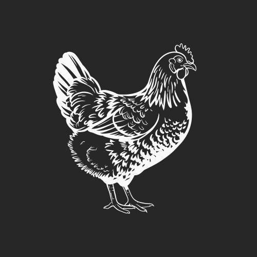 Hen Clipart Black and White Vector Images (over 730)