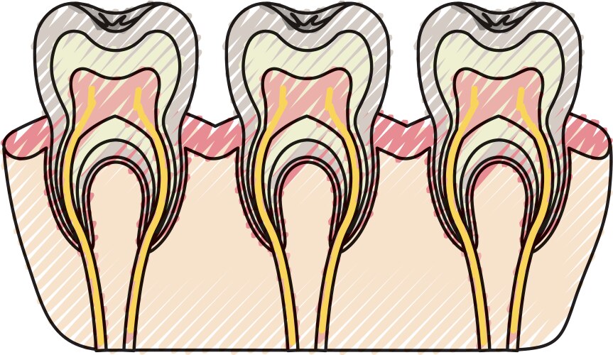Cartoon tooth design template Royalty Free Vector Image