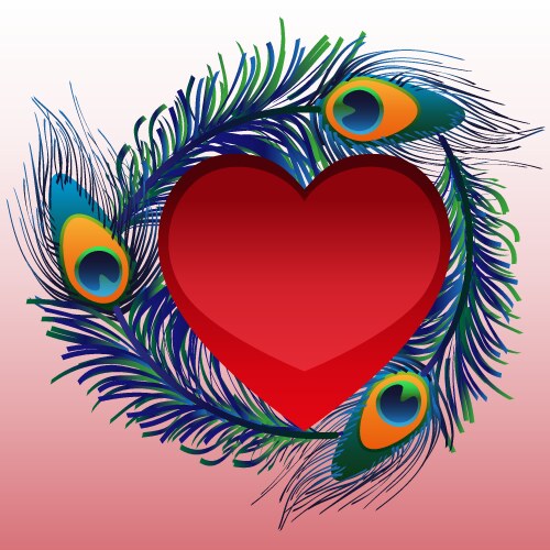 Peacock Feather Heart Vector Images (over 120)