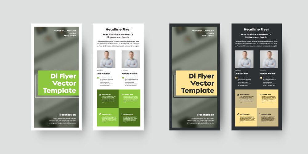 Dl flyer template with color design isolated Vector Image