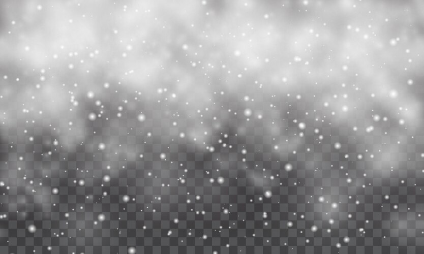 Falling snow on a transparent background Vector Image
