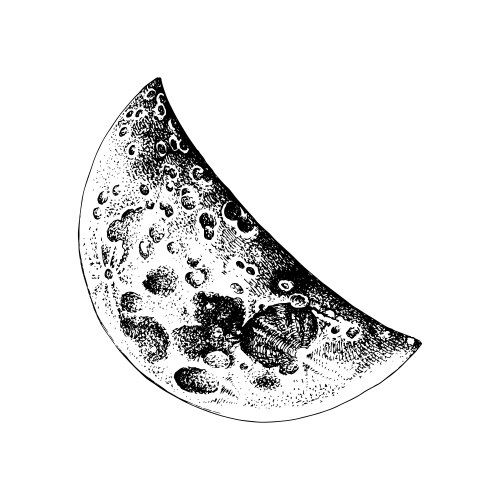 Half moon month lunar cycle phase with realistic Vector Image