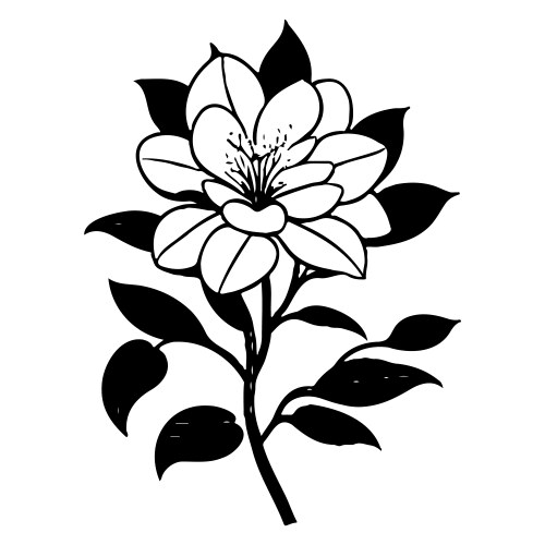 Azalea flower sketch Royalty Free Vector Image