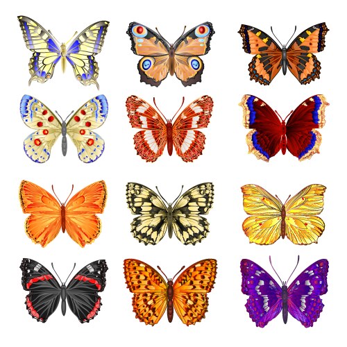 Color butterflies and moths Royalty Free Vector Image