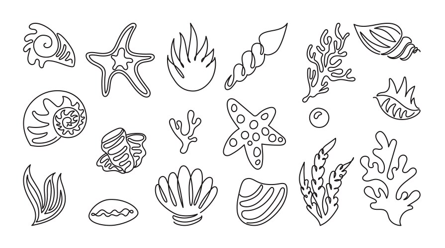 Sea Shell Line Art Vector Vector Images (over 8,600)