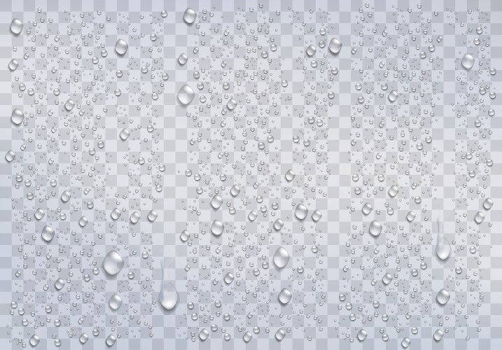 Realistic rain texture on transparent background Vector Image