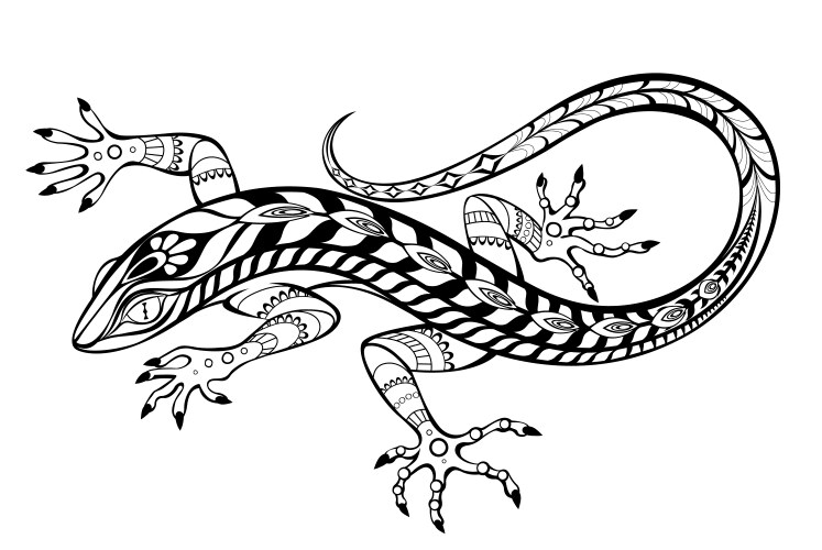 Lizard Outline Vector Images (over 4,800)