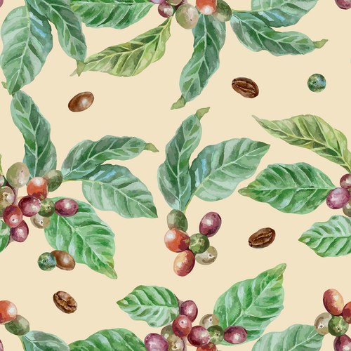 Coffee branch with green leaves and fruits paper Vector Image