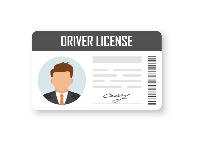 Driver license icon in flat style id card on Vector Image