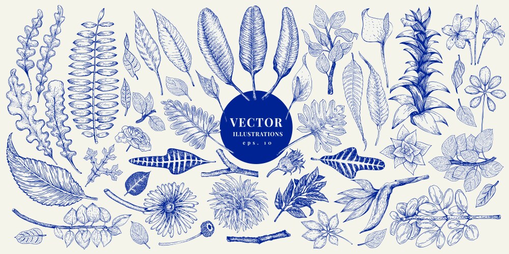 Botany Vector Images (over 400,000)