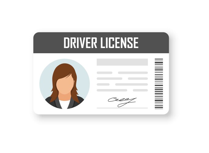 Driver license icon in flat style identification Vector Image