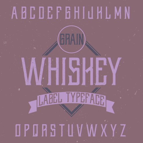 Vintage label typeface Royalty Free Vector Image