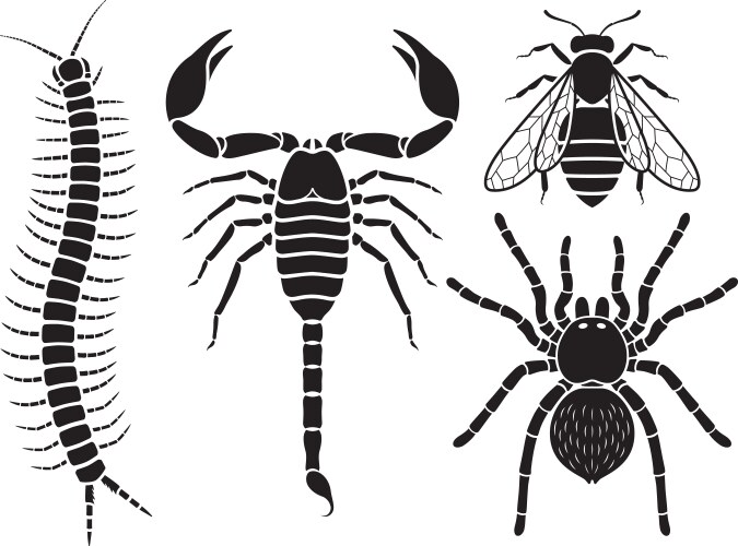 Insects Vector Images (over 240,000)