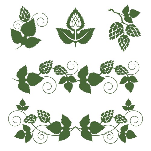 Alcohol borders Royalty Free Vector Image - VectorStock