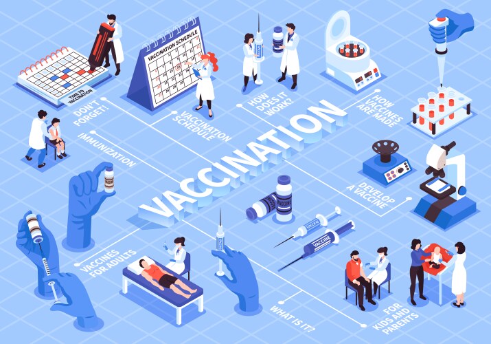 Vaccination research isometric flowchart Vector Image