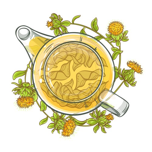 Turmeric tea Royalty Free Vector Image - VectorStock