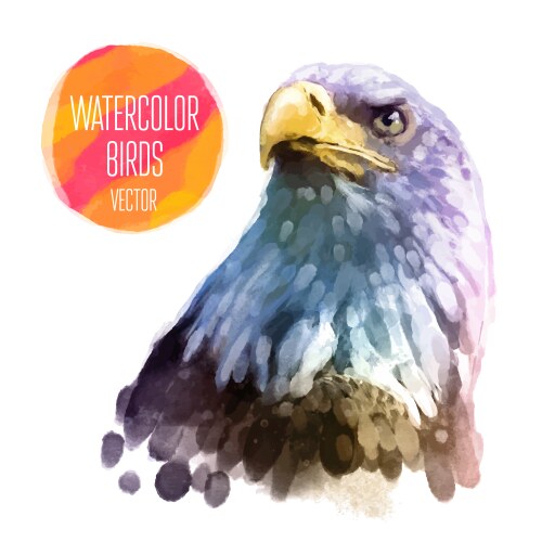 Realistic Eagle Vector Images (over 1,600)