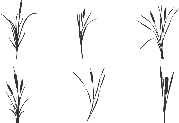 Cattail Silhouette 3,402 Cattail Silhouette Royalty Free Photos And