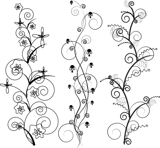 Floral wedding parenthesis borders outline arrows Vector Image