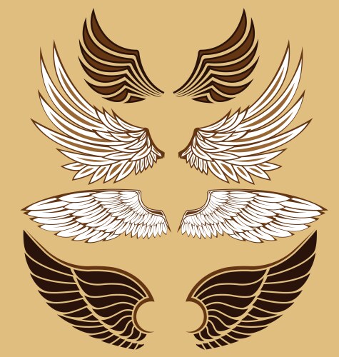 Wing Vector Images (over 480,000)