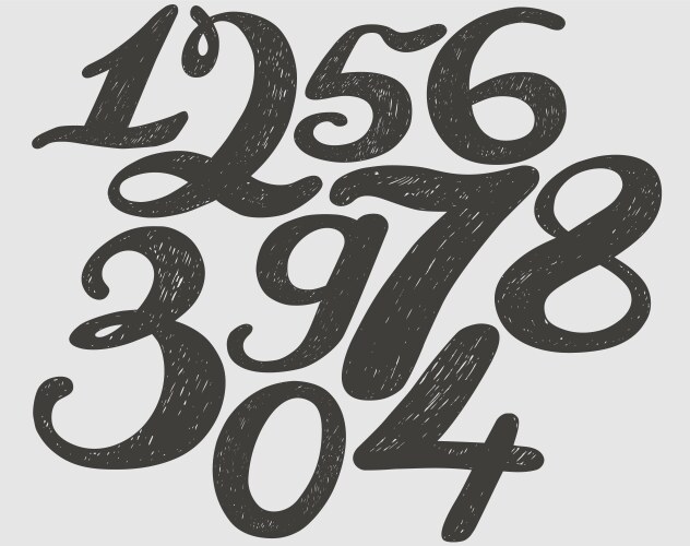 Numbers set in hand drawn calligraphy style Vector Image
