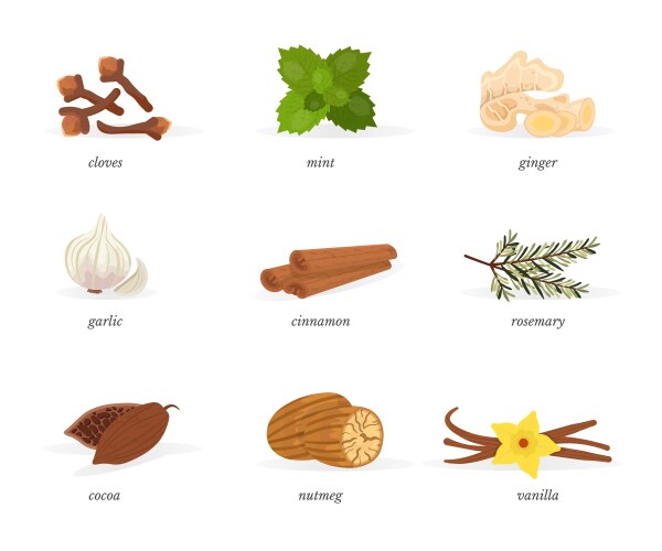Spices Poster Vector Images (over 5,300)