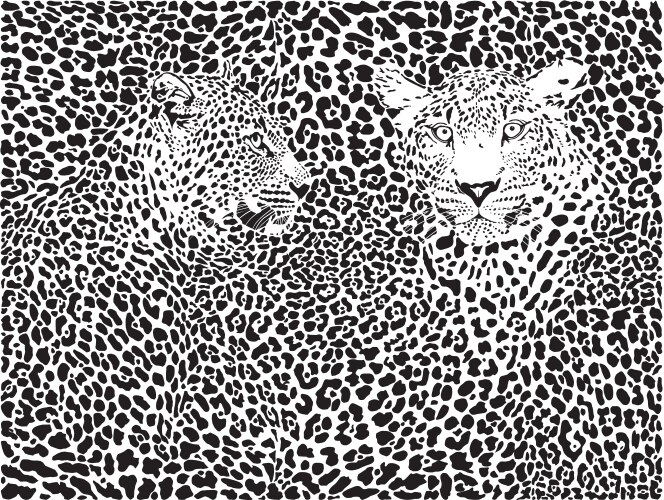 Leopard Pattern Vector Images (over 23,000)