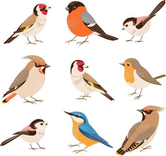 Beautiful flying bird set Royalty Free Vector Image