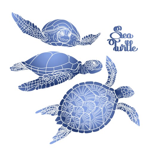 Hawksbill sea turtle collection Royalty Free Vector Image