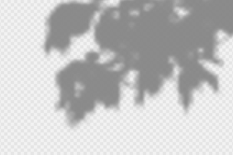 Transparent Background Overlay Vector Images (over 44,000)