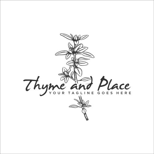 Thyme Vector Images (over 4,300)