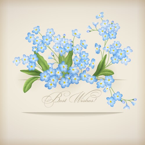 Forget me not Vector Images & Graphics for Commercial Use | VectorStock