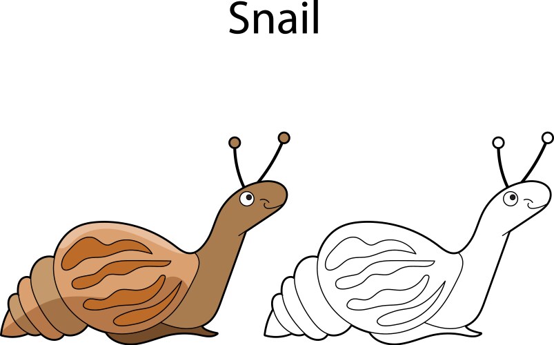 Snail Clipart Black and White Vector Images (over 450)